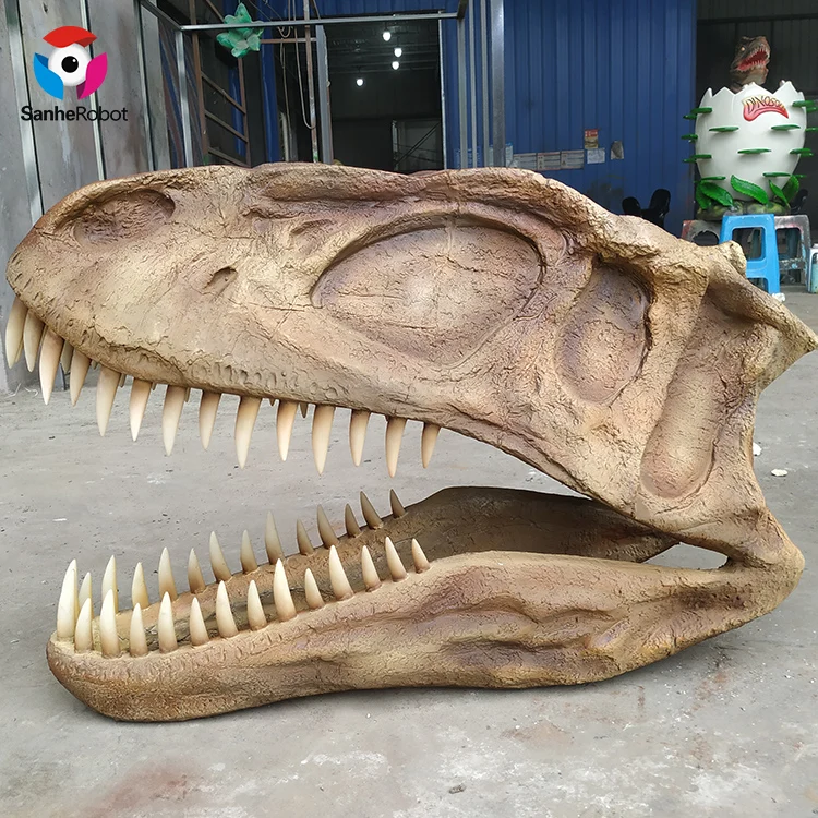 Alibaba.com: Foam Dinosaur Skull Replicas for Kids, Various Sizes ...