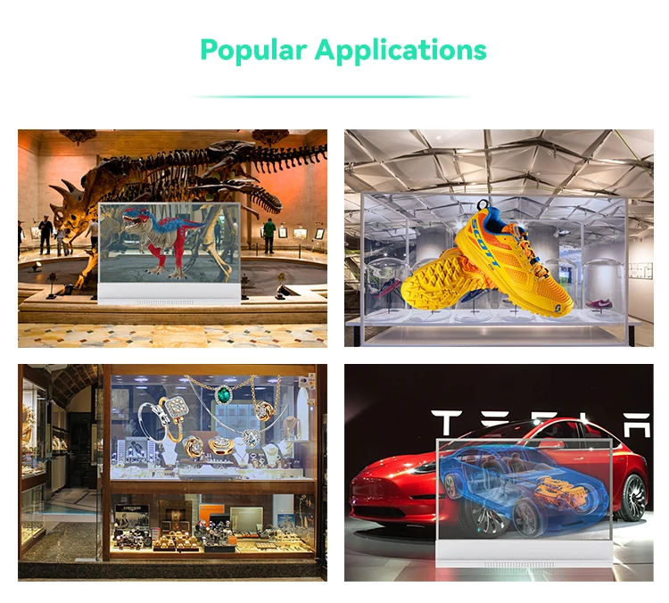 Custom Transparent OLED Digital Signage Ultra-thin Double-sided Touch ...