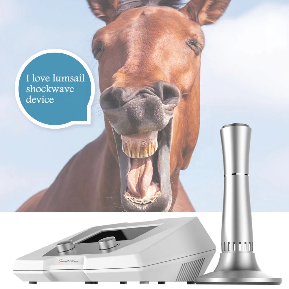 Veterinary Chiropractic & Animal Shockwave Therapy Medical Equipment ...