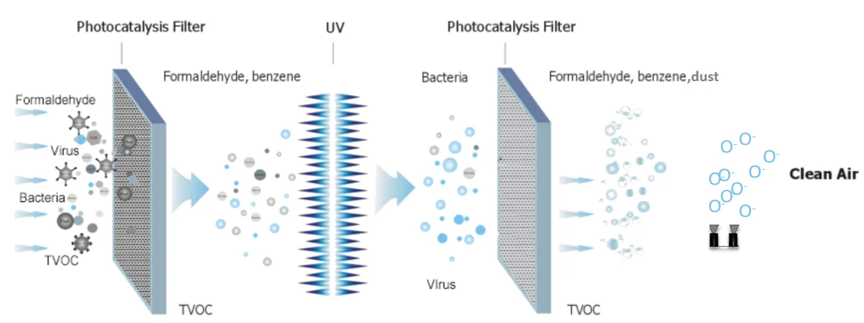 DC24V Photocatalytic Oxidation PCO Air Purifiers for HVAC