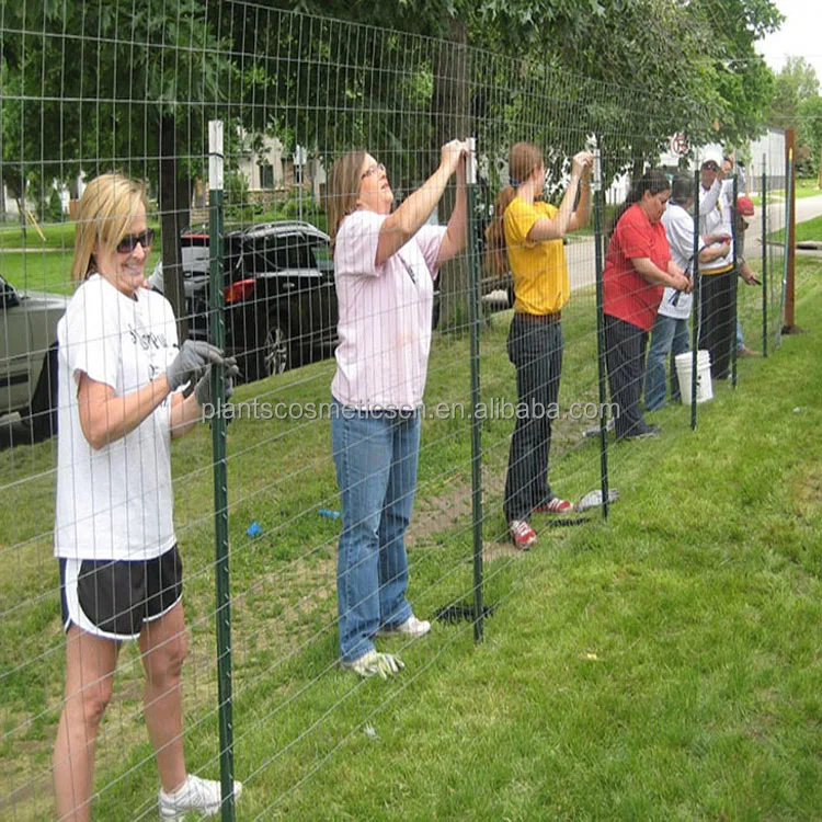 Galvanized/green Painted Steel T Fence Posts - Durable & Eco-friendly