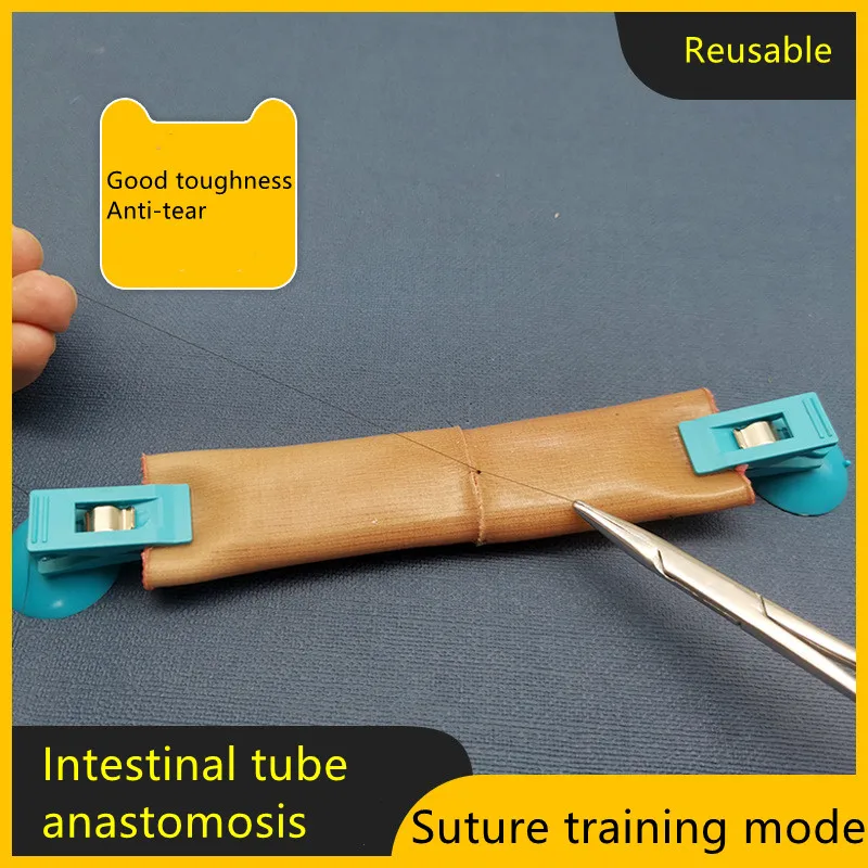 Medical Scienceend Intestinal Anastomosis Training Model Suture ...