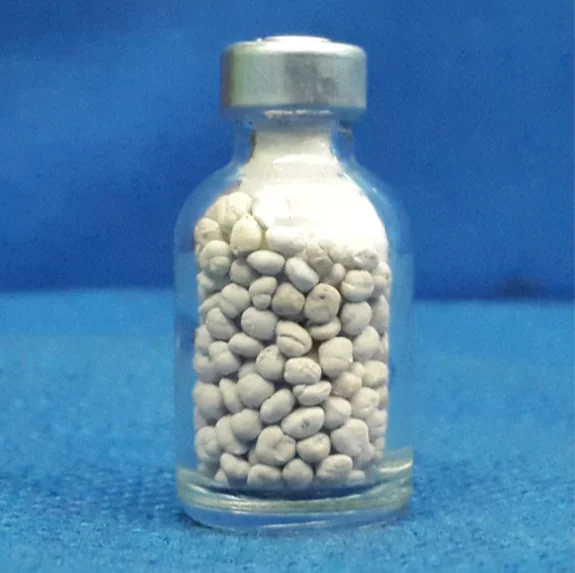 Carp Pituitary Gland Processing Bangladesh Fish Hormone