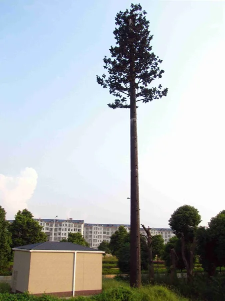 Camouflaged Bionic Tree Steel Monopole Antenna Tower 4G 5G Wifi Signal ...