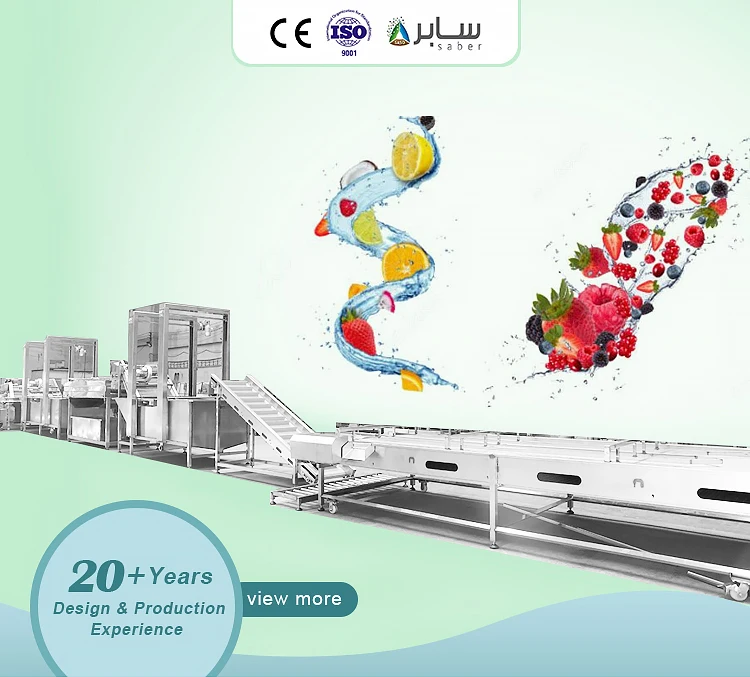 Complete Fruit Juice Processing Line Production Line Mango Production Dried Mango Line - Buy ...