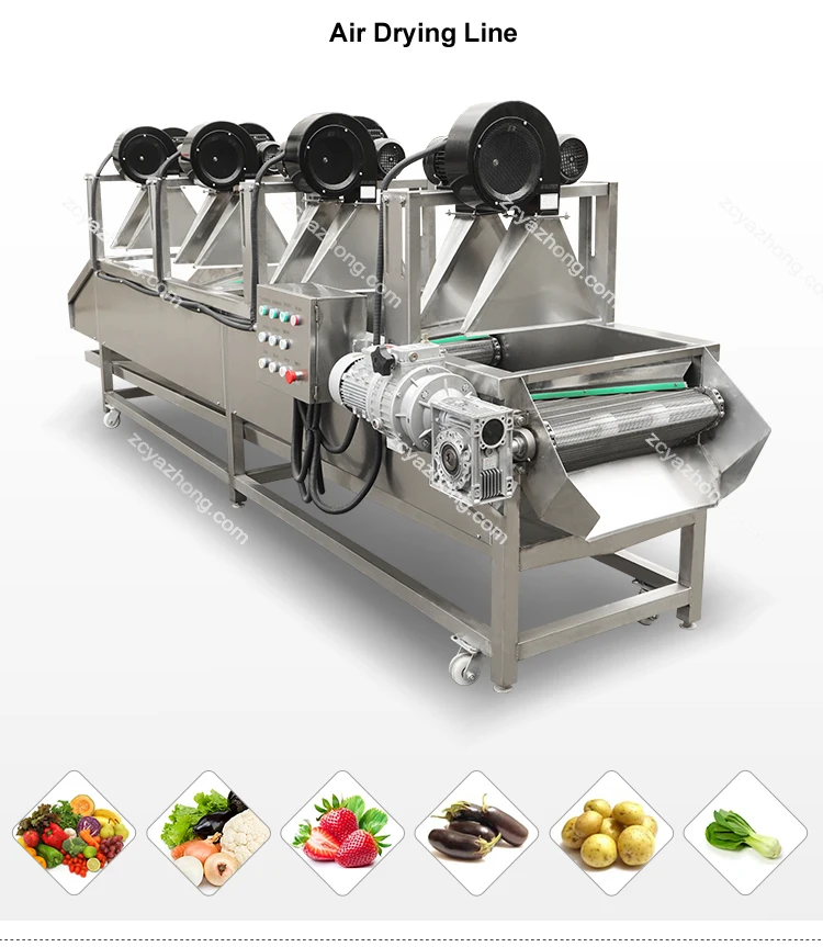 High Efficiency Mesh Belt Drying Machine - Automatic & Durable