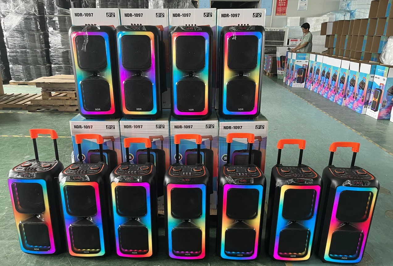 2024 Hot Sell NDR Dual 10inch Partybox 1000 Portable BT Speaker