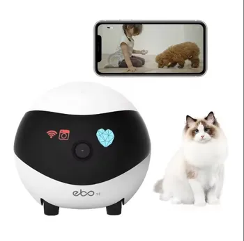 Popular 32g Smart App Wireless Control Ebo Pet Companion Robot Camera ...
