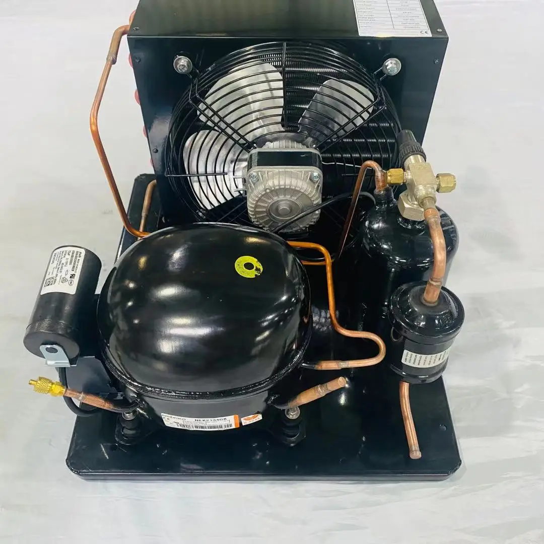 12V/24V DC Freezer Condensing Unit - High Quality Compressors