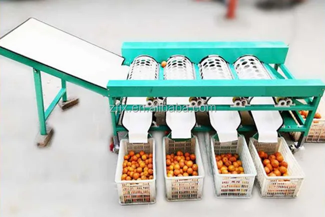 Automatic Grader Mango Fruit Grading Machine Oranges Lemon Sorting Machine