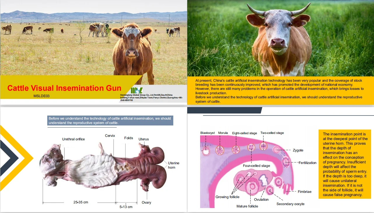 AI Visual Cattle Artificial Insemination Gun with Camera