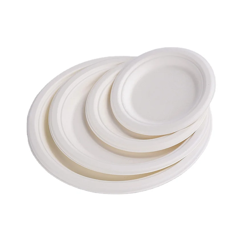 Biodegradable Paper Serving Plate Disposable 6 Inch Paper Plate Eco ...