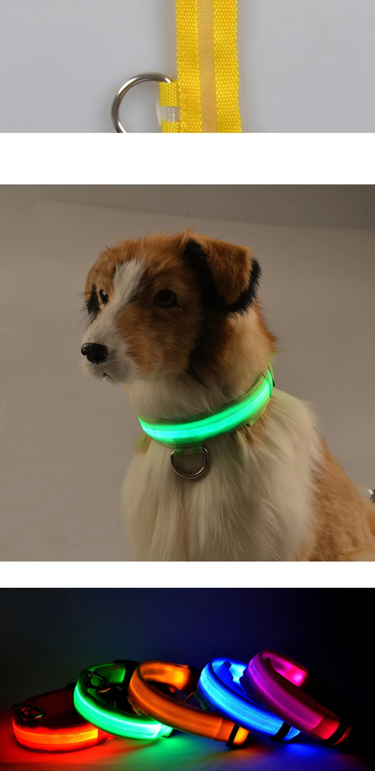 LED Flashing Dog Collar - Safety & Style for Every Walk