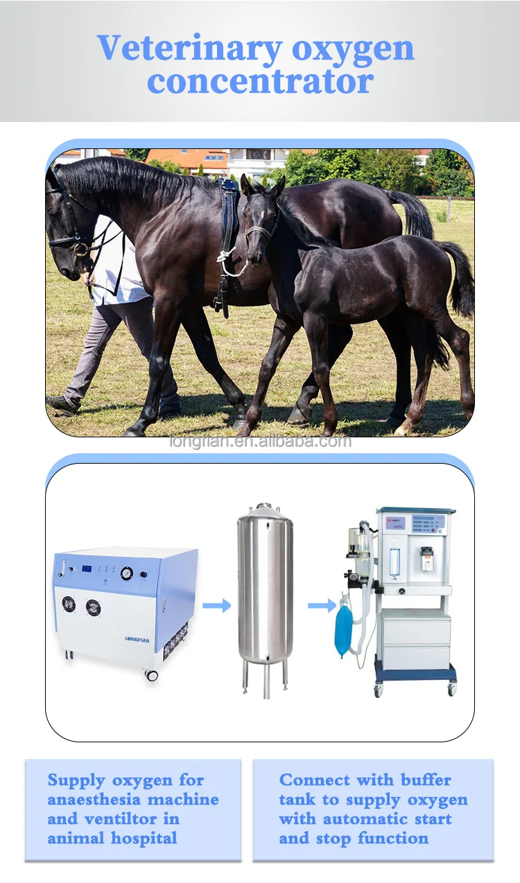 Psa System Large High Pressure Oxygen Generator 20 Liter 4 Bar Oxygen ...