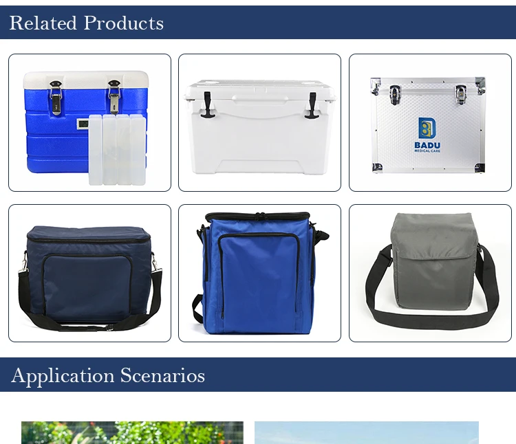 Mini 8L Cooler Box - Insulated Transport for Medical & Vaccine