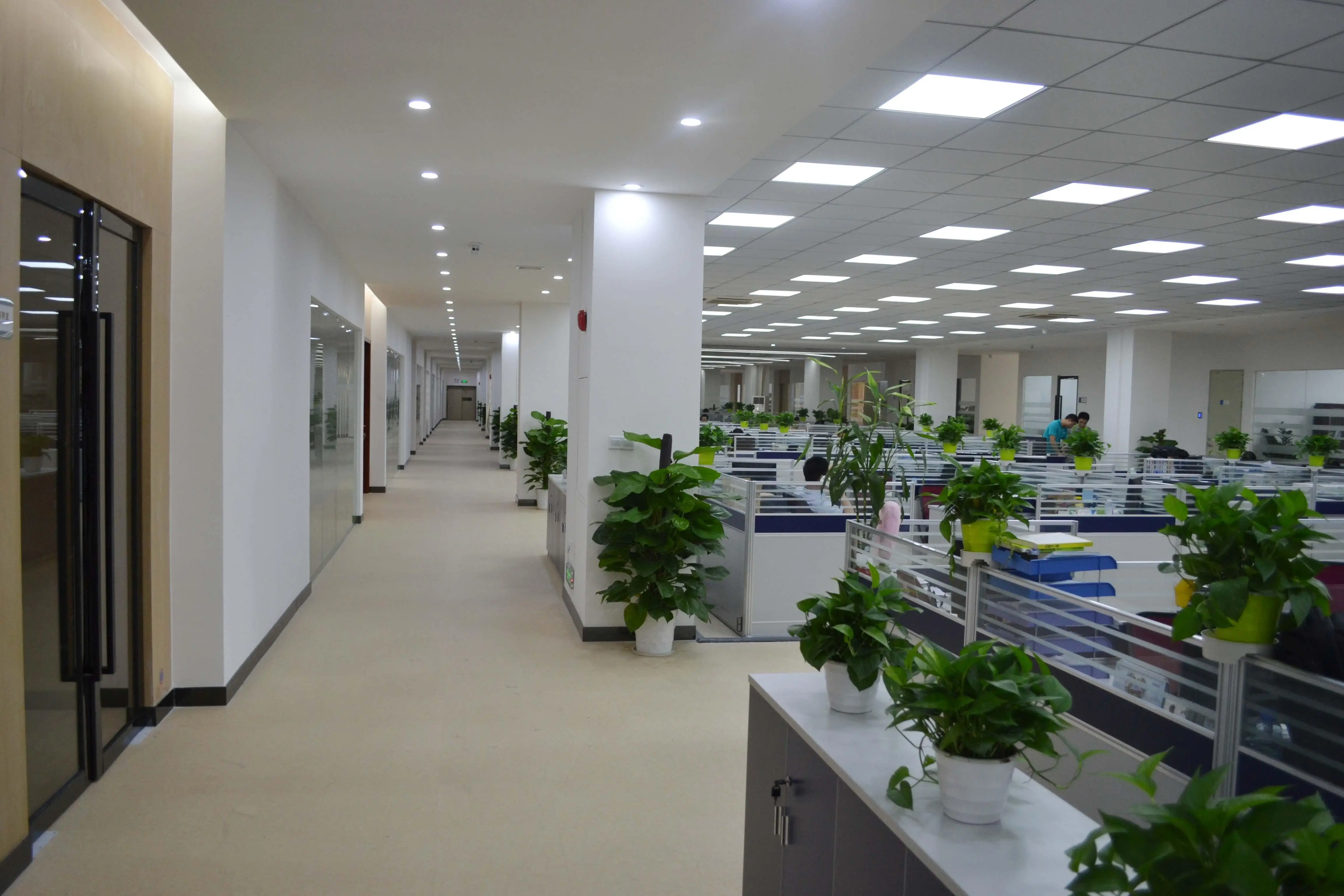 3286734-a 7tb Ssd Haf-q6r4ss Dkc- F810i-7r0fp - Buy 3286734-a,Módulo De ...