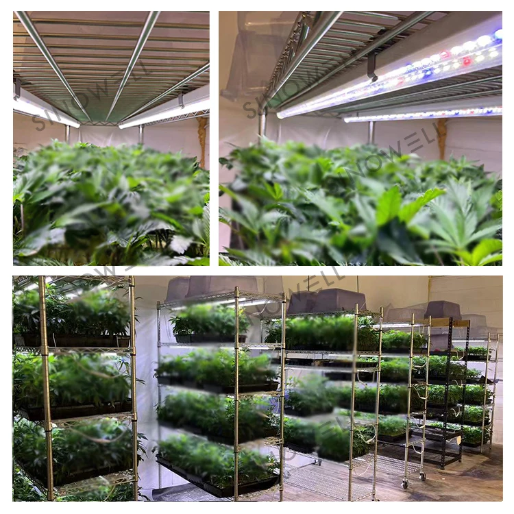 SINOWELL Daisy Chain Design 18W LED Grow Light for Cloning