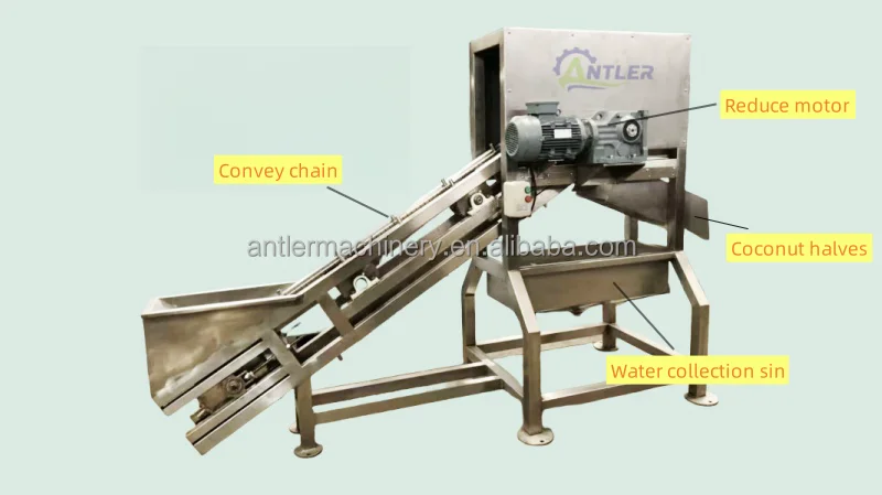 Industrial Electric Automatic Young Coconut Cutting Machine