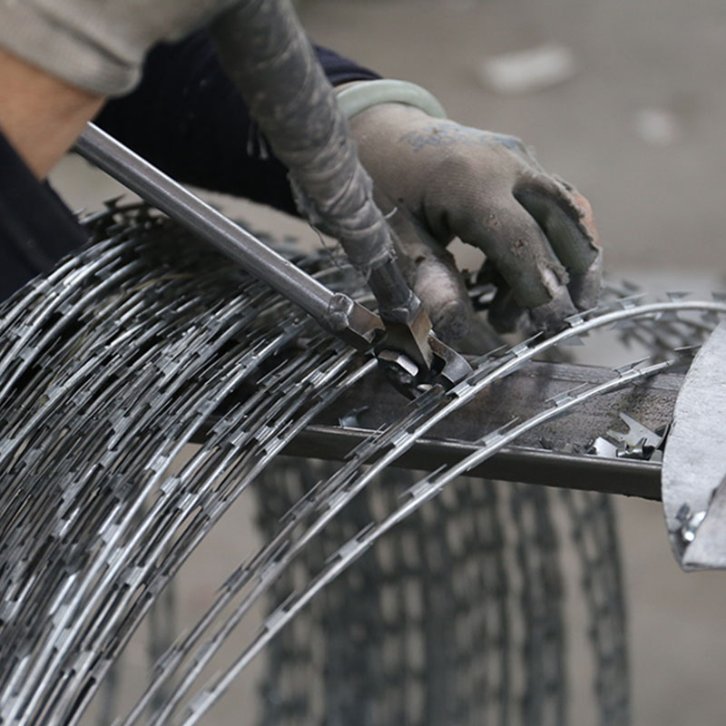 Galvanized Steel Snake Belly Razor Barbed Wire Net with Thorns ...