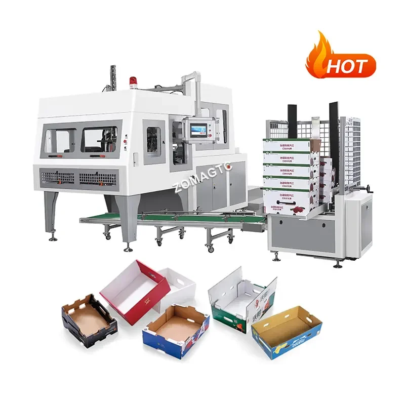 Popular Automatic Carton Box Packer Packing Packaging Fruit Food ...