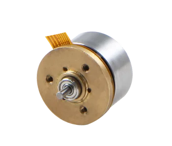 20mm 12v 5w 외부 회전자 Bldc 모터 - Buy 12v 외부 로터 Bldc 모터,고속 외부 로터 Bldc 모터 ...