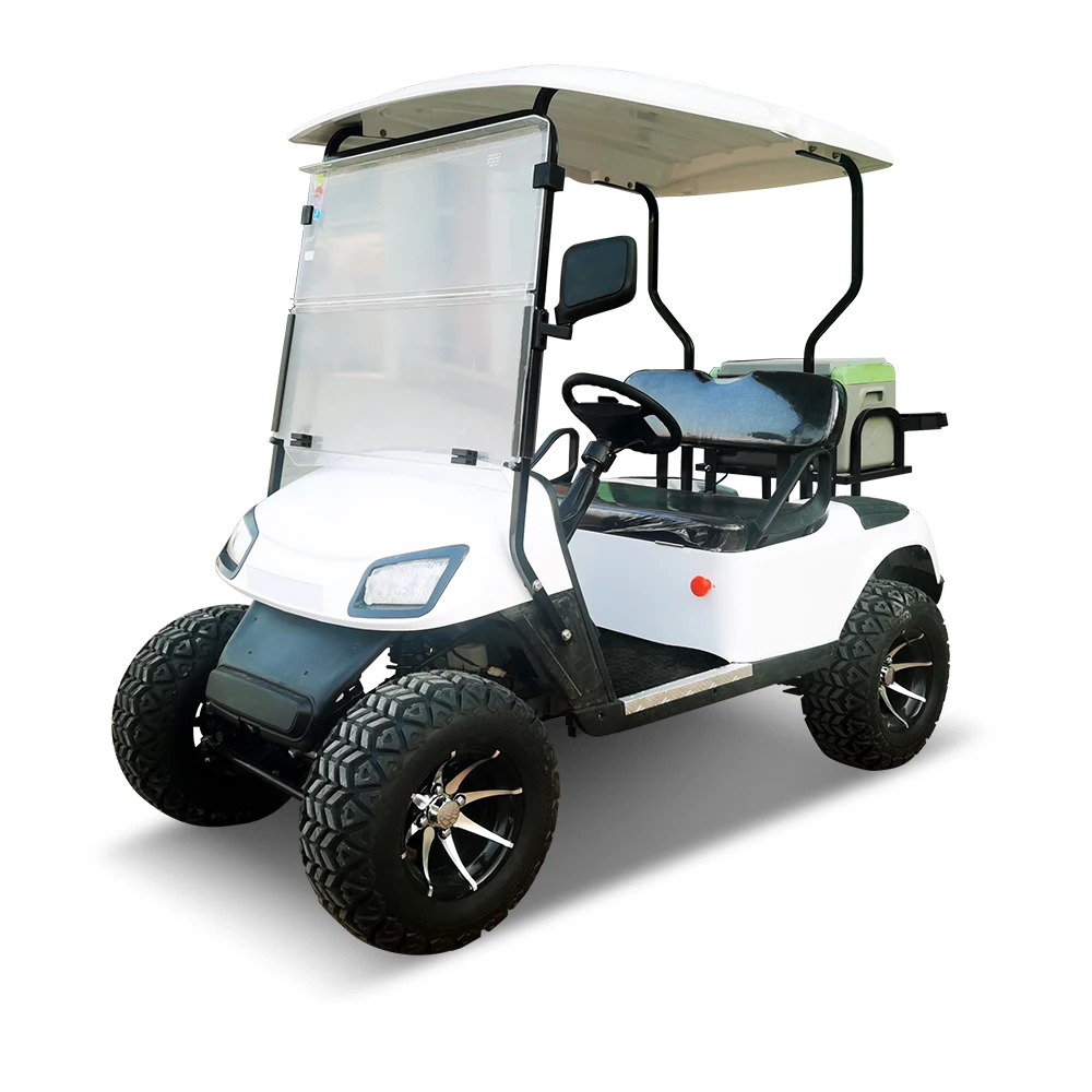 New Arrival Style For Exclusive Partner New Design 2 Passengers ...