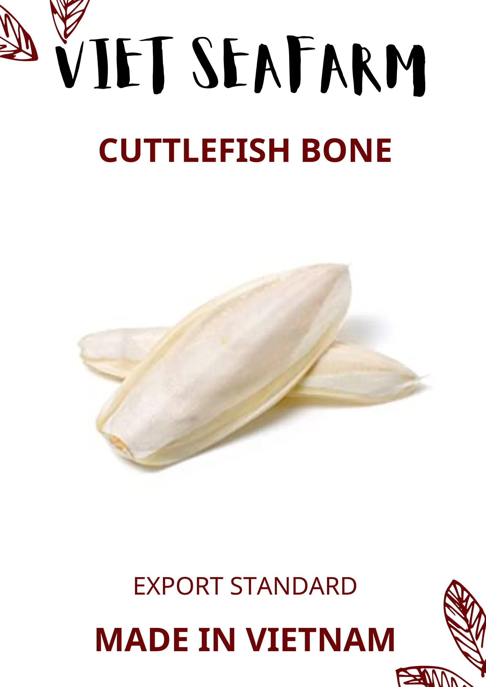 [best Seller] Natural Trimmed Cuttlefish Bone For Animal Feed From ...