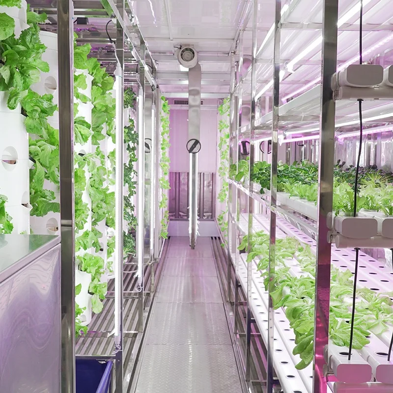 40FT Smart Shipping Container Farm - Double Side Hydroponics