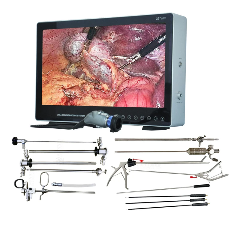 Sy-ps050 Laparoscopy Cystoscope Arthroscopy Set Portable Endoscope ...