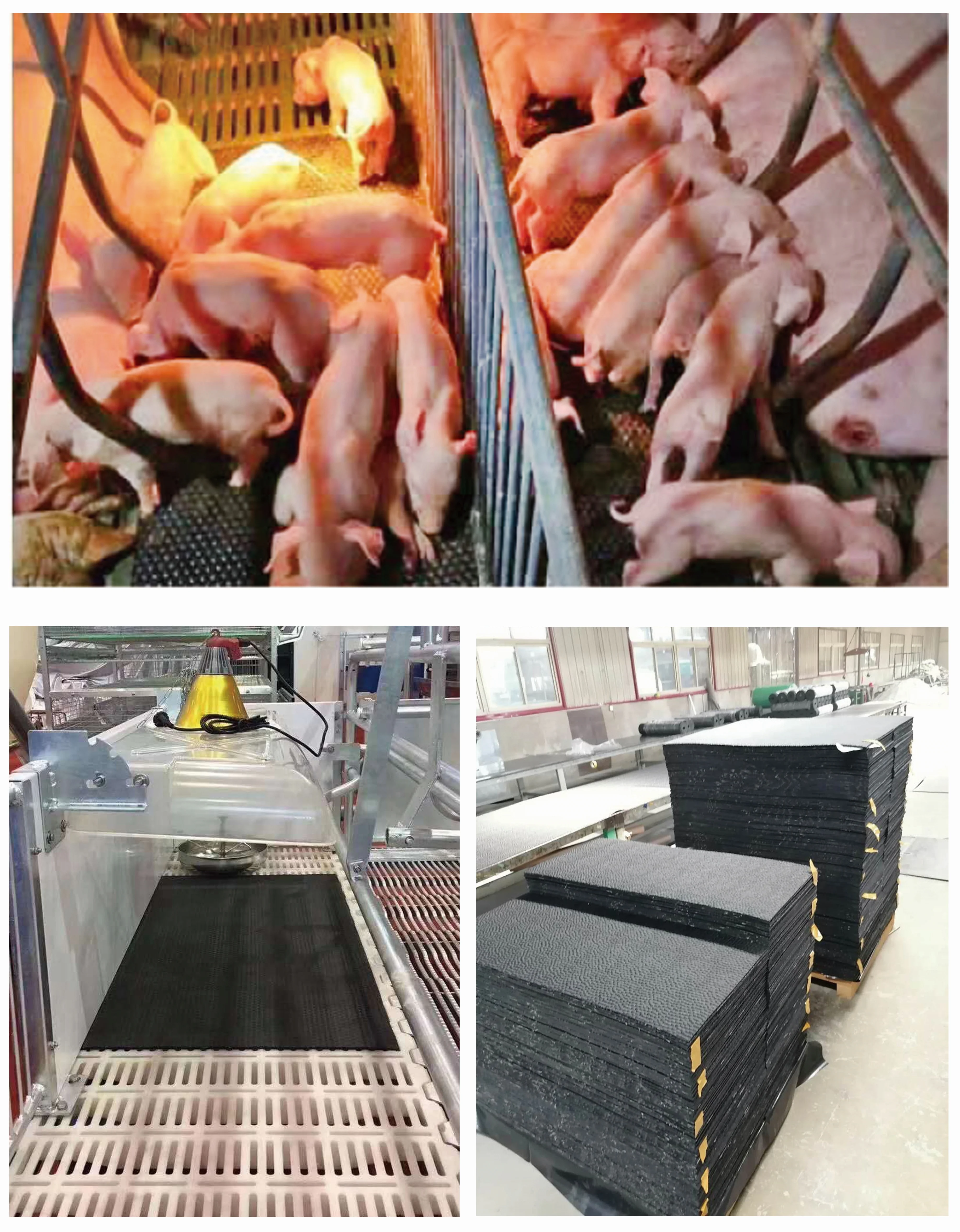 Livestock Rubber Mats - Anti-Slip & Comfort Solutions