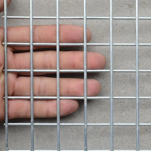 Electro Galvanized Welded Iron Wire Mesh 1x1 Galvanized Welded Wire ...