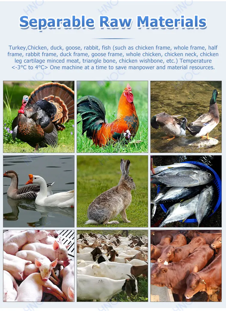 Hnoc Mechanically Automatic Frozen Chicken Debone Machine Poultry Quail ...