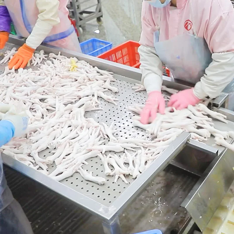 Qingdao Raniche Chicken Equipment Slaughterhouse Abattoir| Alibaba.com