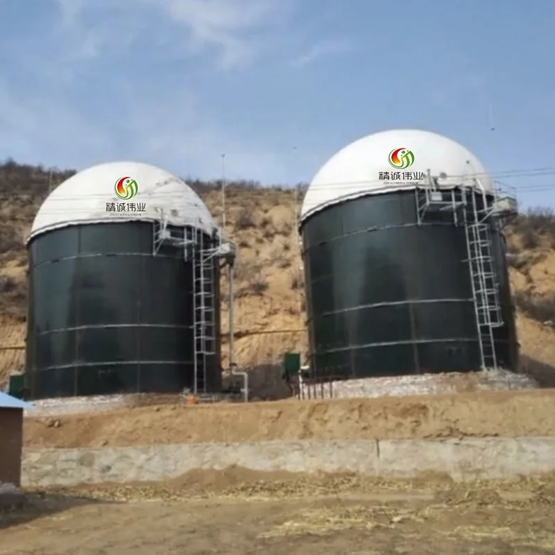 Reactor Food Waste Treatment Biogas Anaerobic Digester/fermenter/plant ...