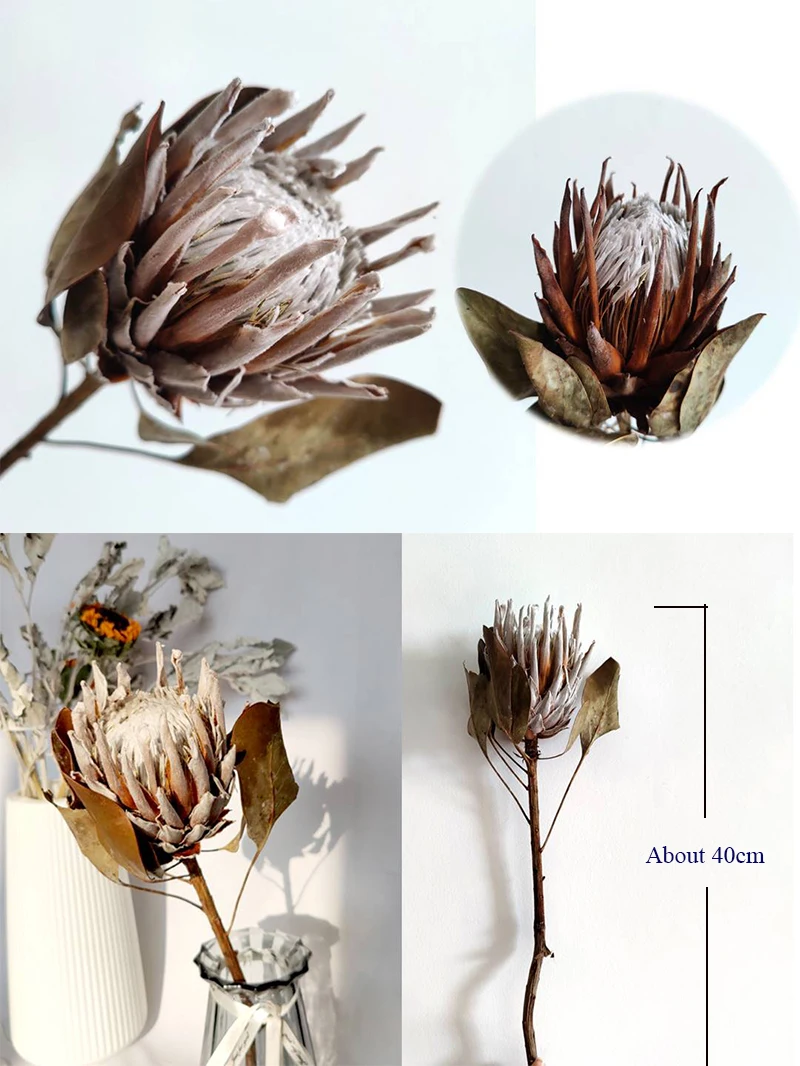 Artificial Large Protea Stem Quality Big Flower Head Stem King Protea ...