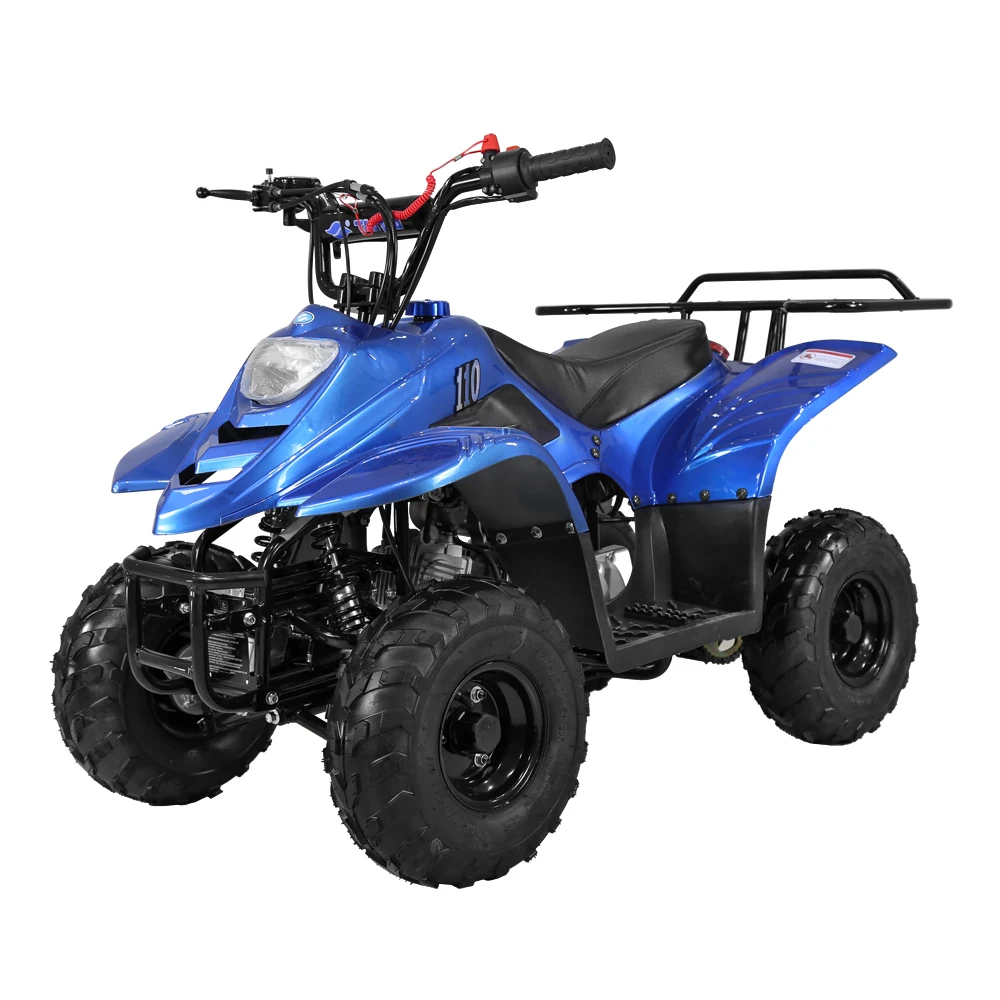 Tao Motor ATA110-B1 110cc Kids ATV - Cheap Farm ATV for Sale