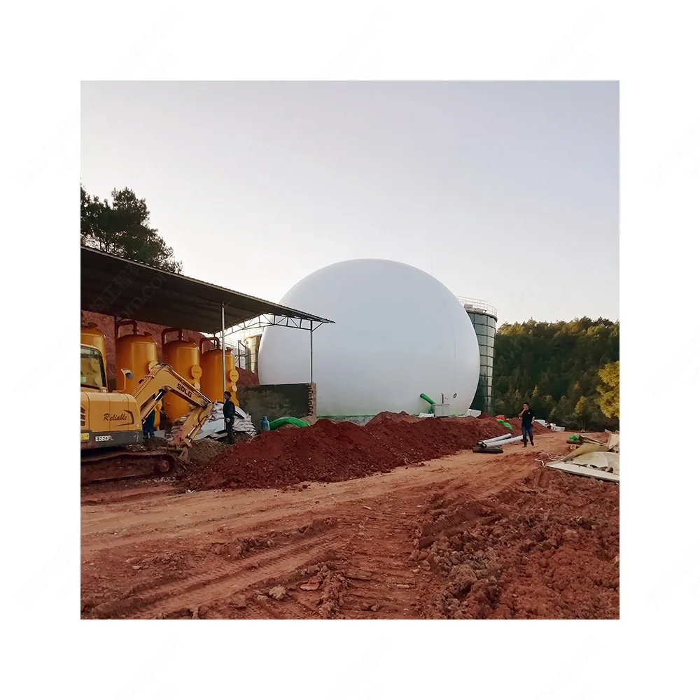 Qingdao Haiyue Factory Industrial Biodigester Cstr Biogas Storage ...