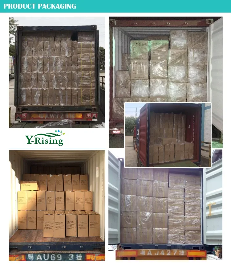 Physiotherapy Instrument Fohow Bioenergy Body Massager Bioelectric ...