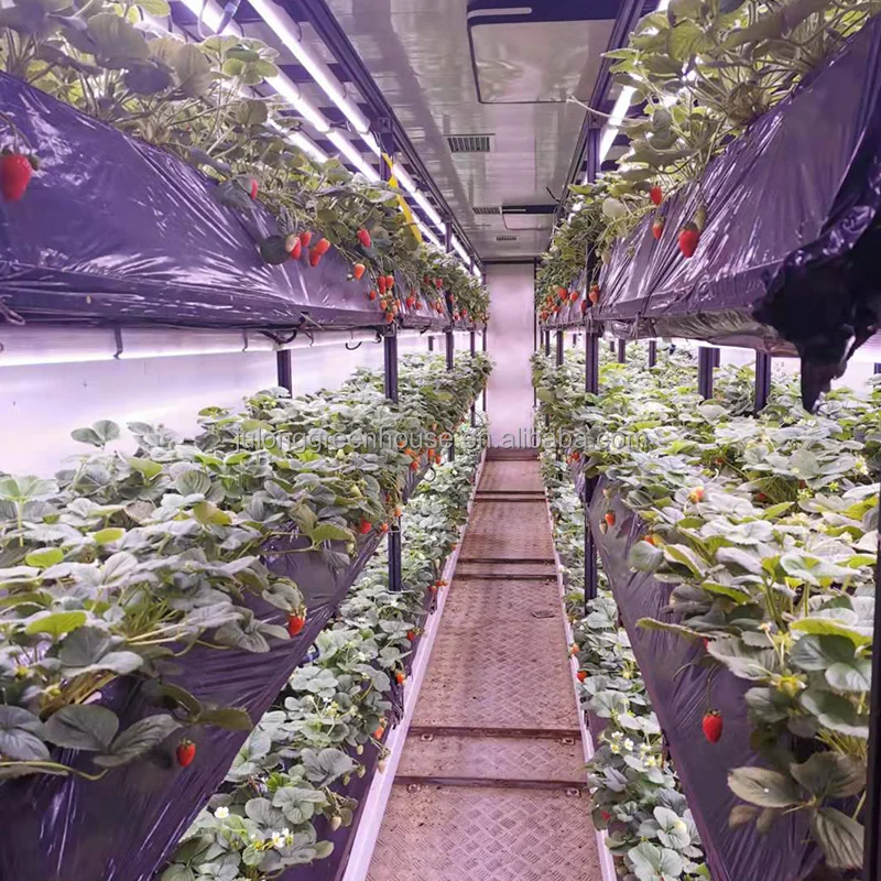 40ft Vertical Farming Shipping Container Grow Room Full Auto ...
