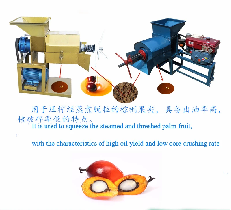 Btma-palm Oil Screw Press Palm Oil Extract Equipment Palm Oil Pressing ...