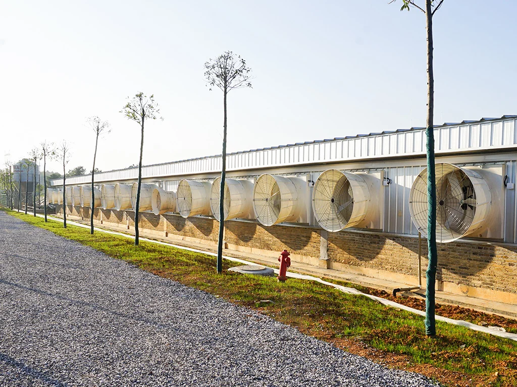 Circulating Cooling FRP Fans Poultry Farm Ventilation System Fiberglass ...