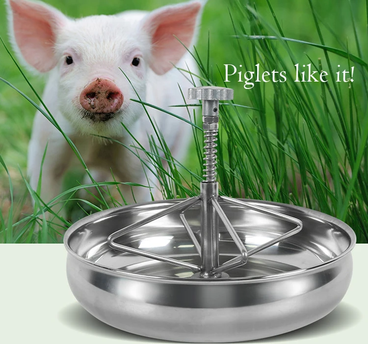 Pig Feeding System Feed Drop Trough Plastic Automatic Feed Dispenser ...