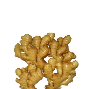 Fresh Chinese Ginger - Buy Ginger Price In China,Chinese Ginger,Market ...