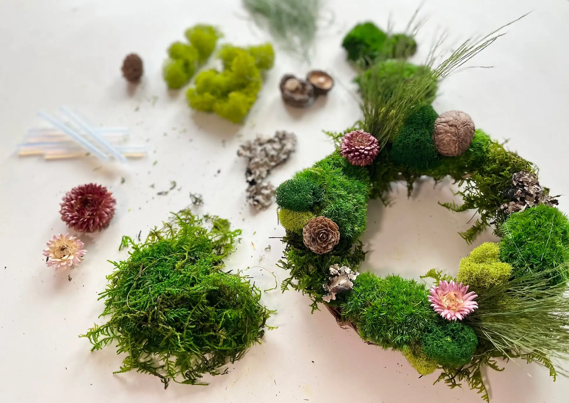Diy Moss Wall Art Wreath Kit Moss Stabilized Decor Set Preserved Moss ...