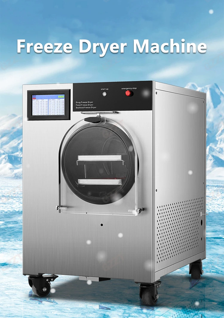 Freeze Dryer Food Drying Lyophilizer Machine For Home With Vacuum Pump ...