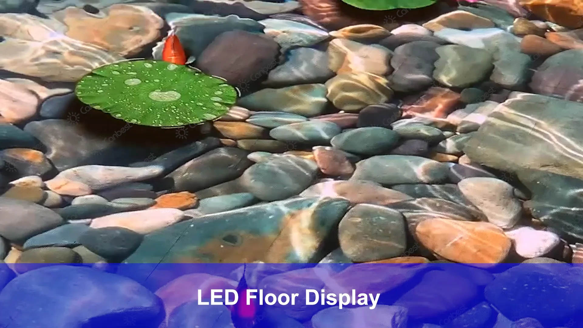 Interactive Digital Full Color Tile Wall For Dancing Gaming Video Stage ...