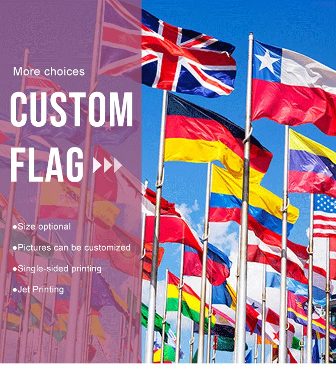 Promotion Outdoor Custom Flag 3x5ft Sublimation Blank Customized Banner ...