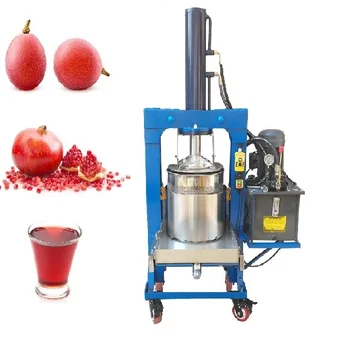 Electric Hydraulic Cold Press Squeezer Machine For Pure Juice Juicer ...