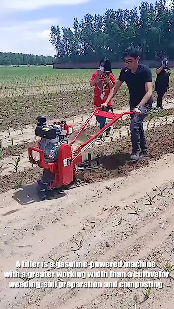 Air-cooled Diesel Power Tiller Walking Agriculture Tractor Agricultural ...