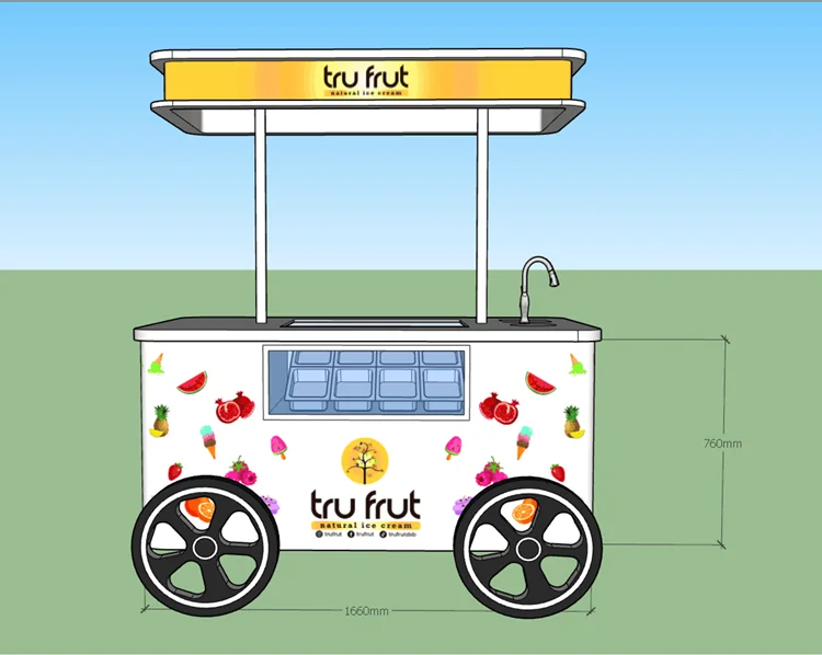 New Mobile Ice Cream Trolley Cart – Stainless Steel Freezer Vending ...